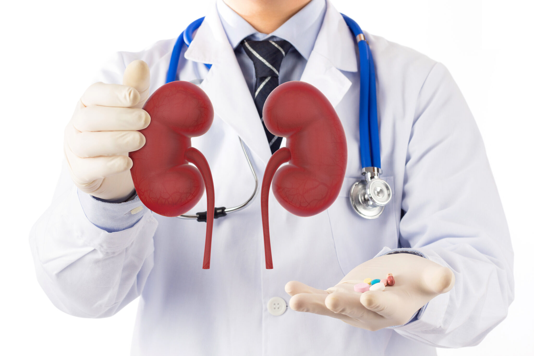 ARK KIDNEY – brigid
